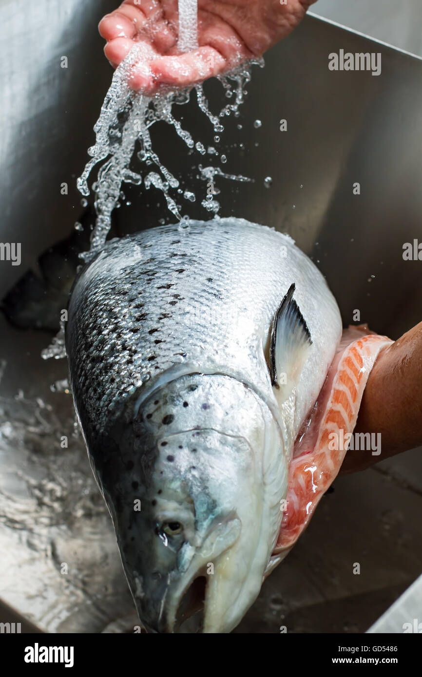 Hand of man washing fish. Big fish under water flow. Fresh ingredient ...