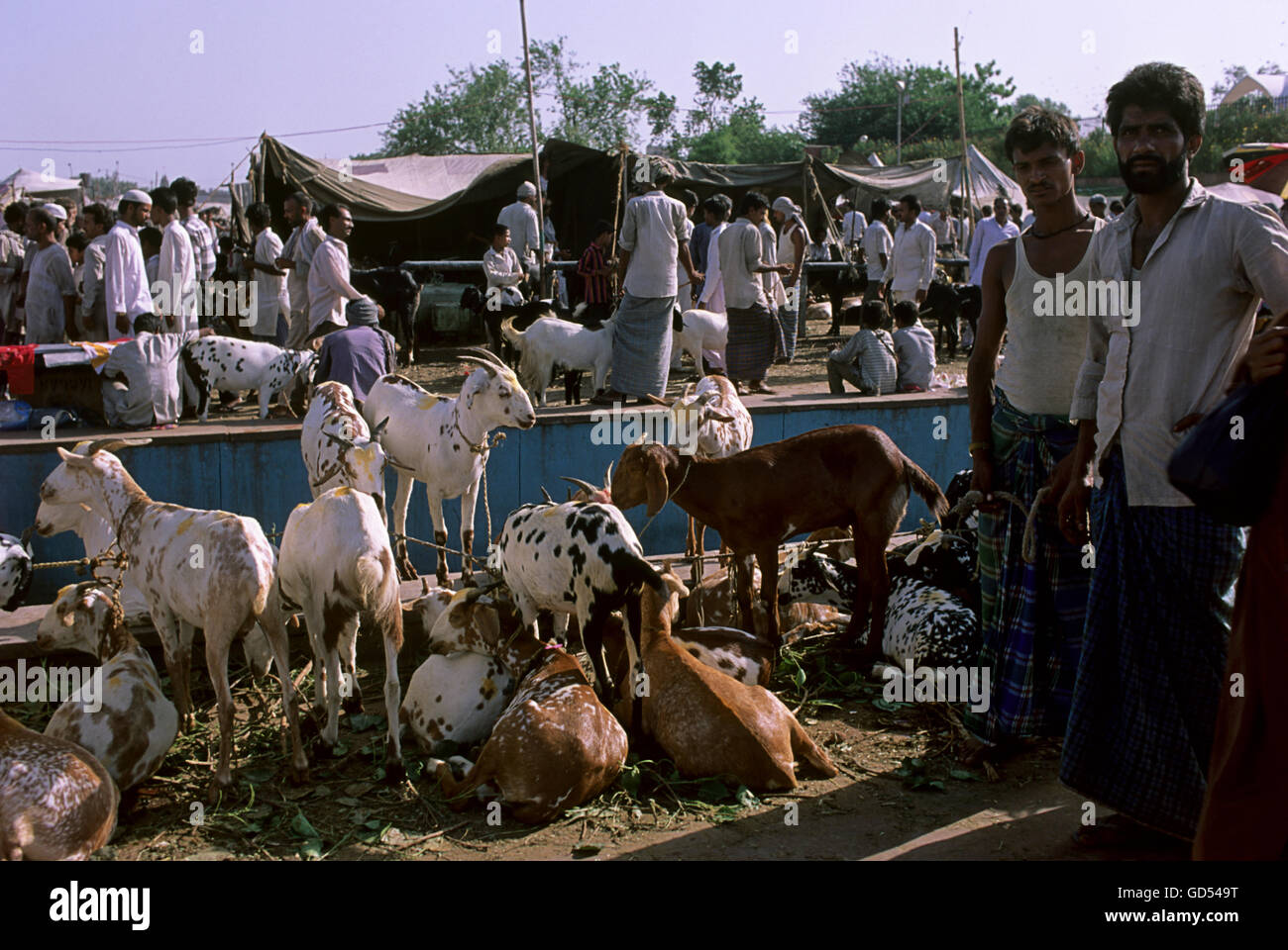 Bakr id hi-res stock photography and images - Alamy