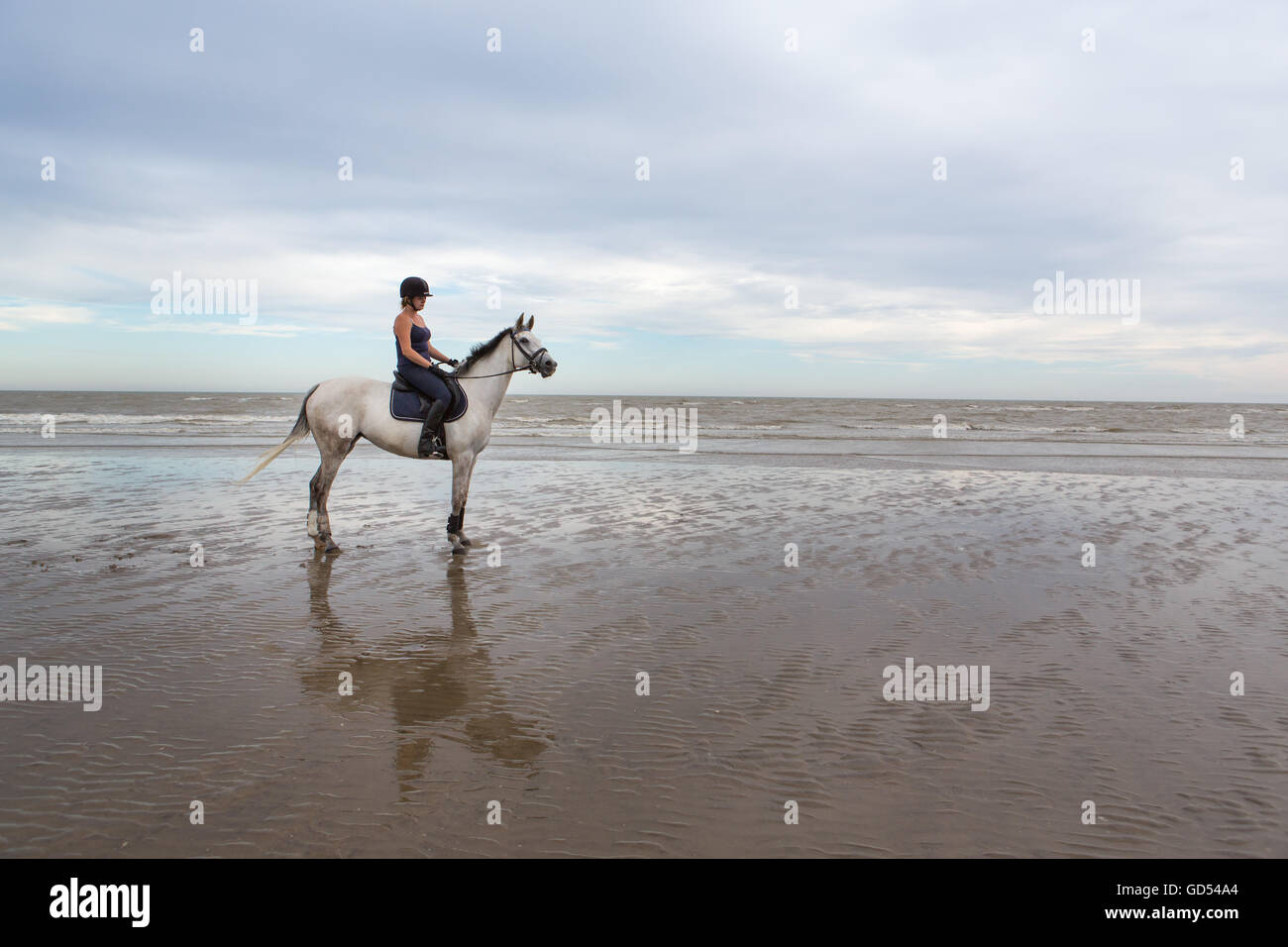 Galloping exercises hi-res stock photography and images - Alamy