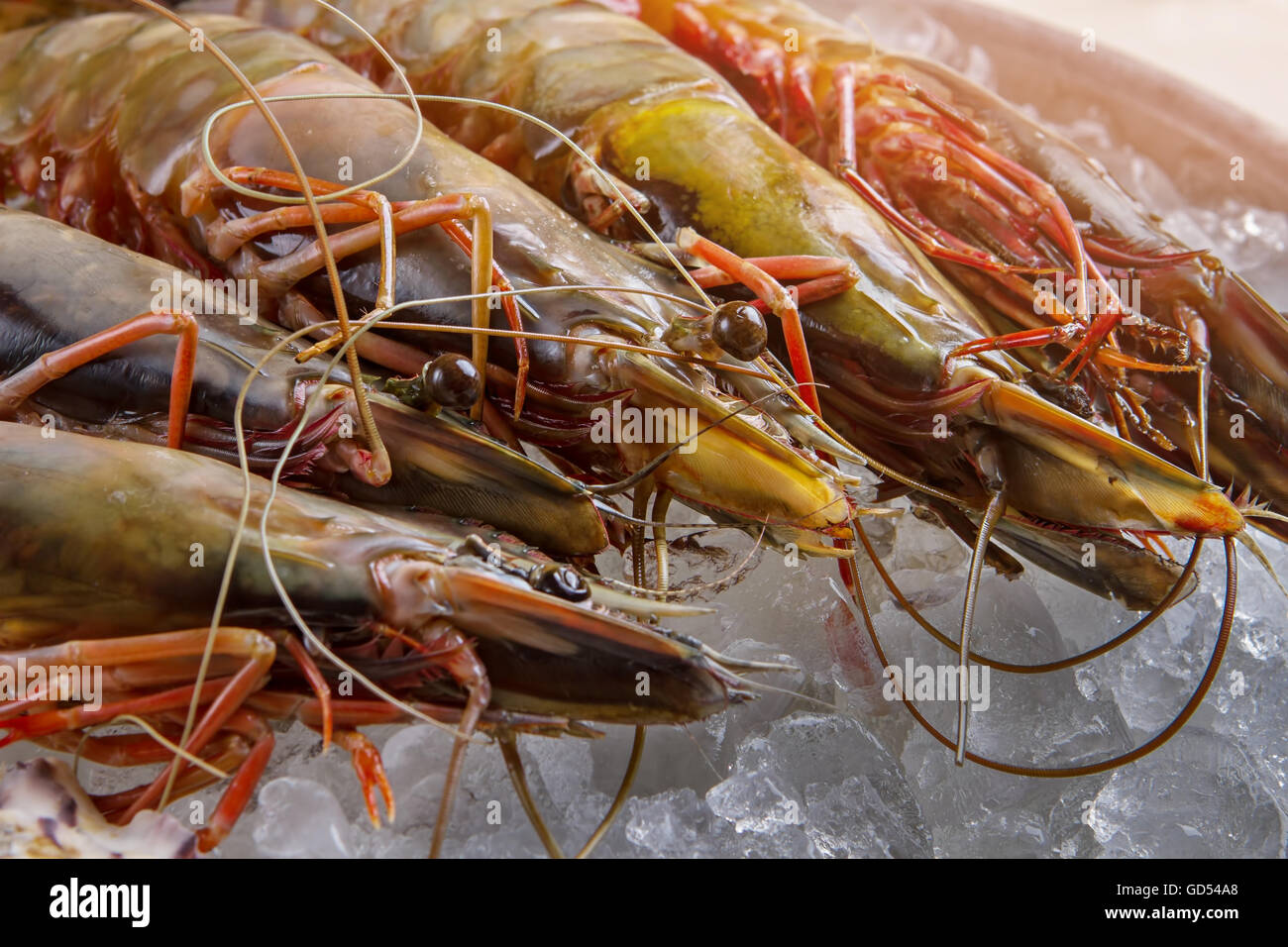 Shrimp storage hi-res stock photography and images - Alamy