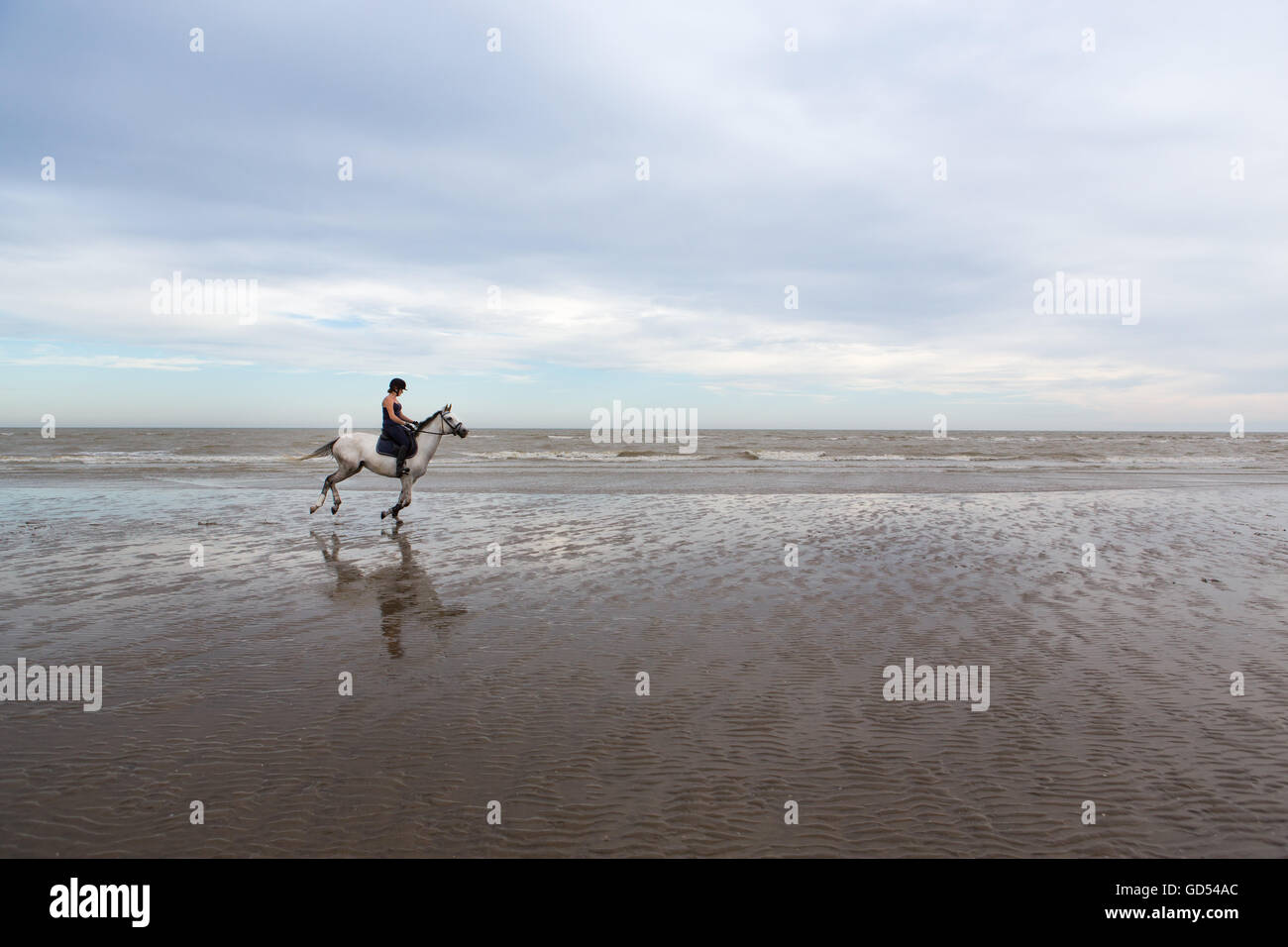 Galloping exercises hi-res stock photography and images - Alamy