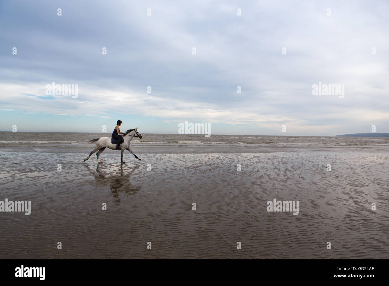 Galloping exercises hi-res stock photography and images - Alamy