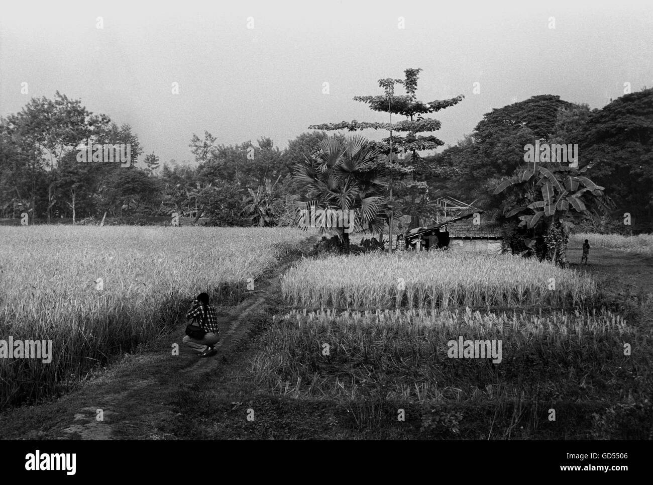 Nandigram hi-res stock photography and images - Alamy