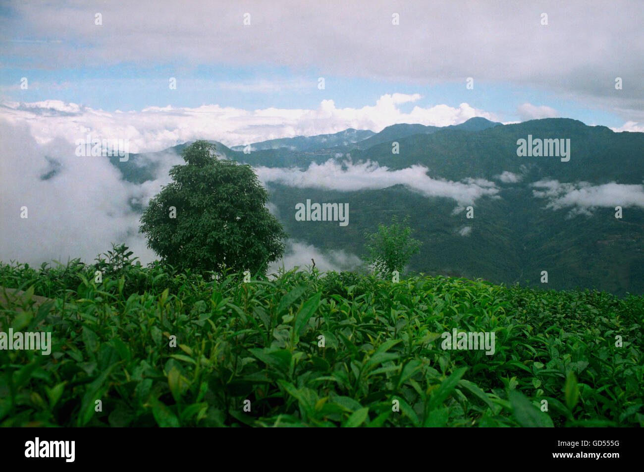 Eastern Himalayan range Stock Photo - Alamy