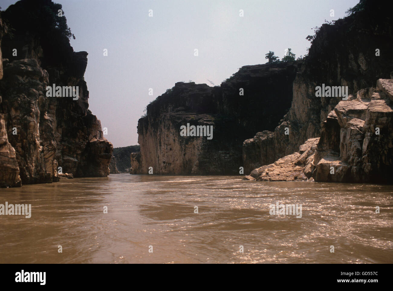 Kundi hi-res stock photography and images - Alamy