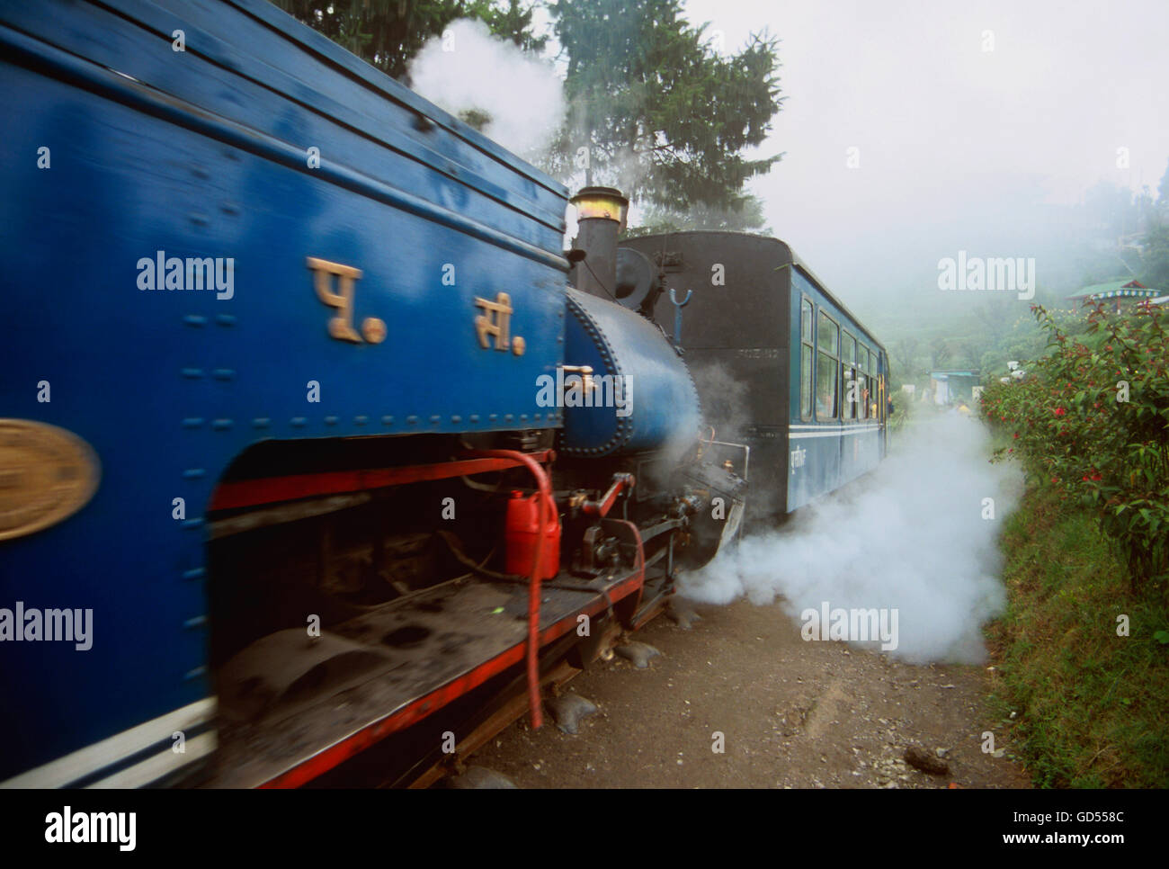Darjeeling Toy Train Video Download at Jane Shepherd blog