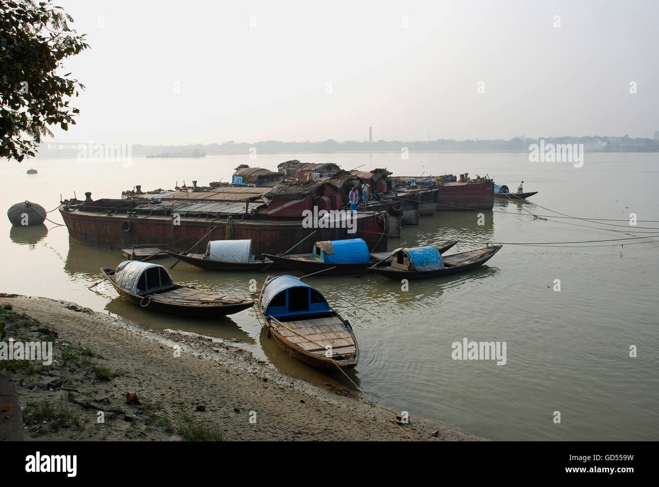 Brackish Water Fisheries Stock Photo - Alamy