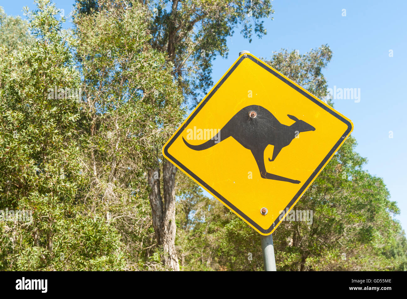 Kangaroo warning sign on road hi-res stock photography and images - Alamy