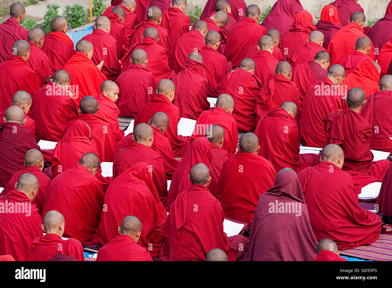 Buddhist monks chanting Stock Photo - Alamy