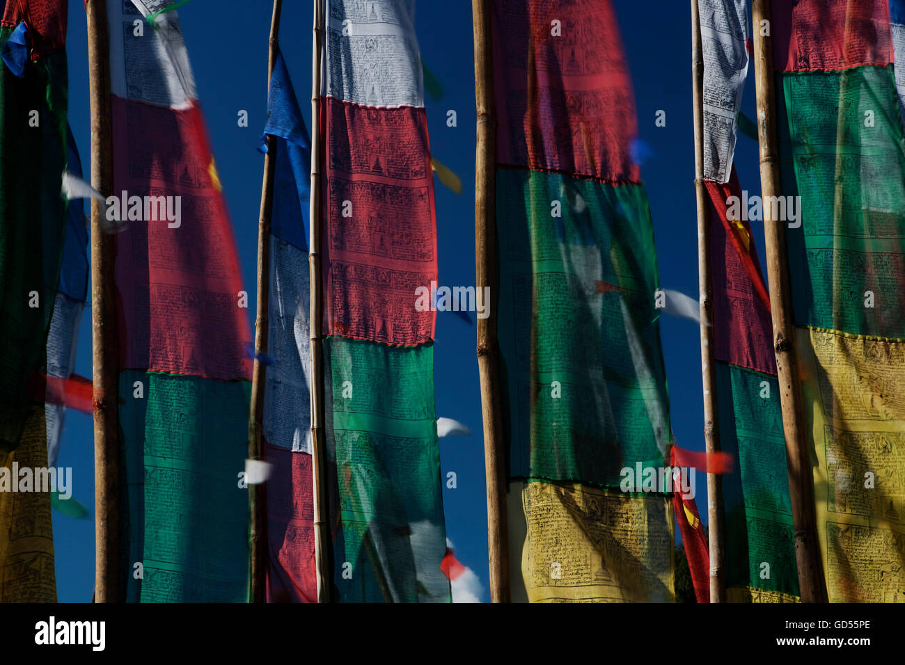 Buddhist prayer flags Stock Photo - Alamy
