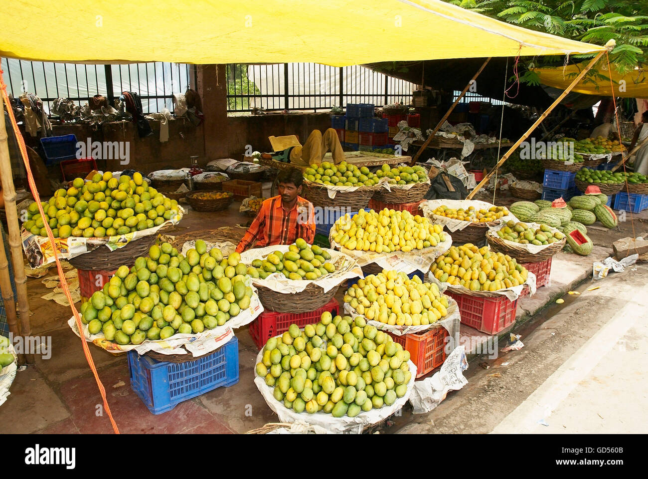 Lucknow's famous mango market Stock Photo - Alamy