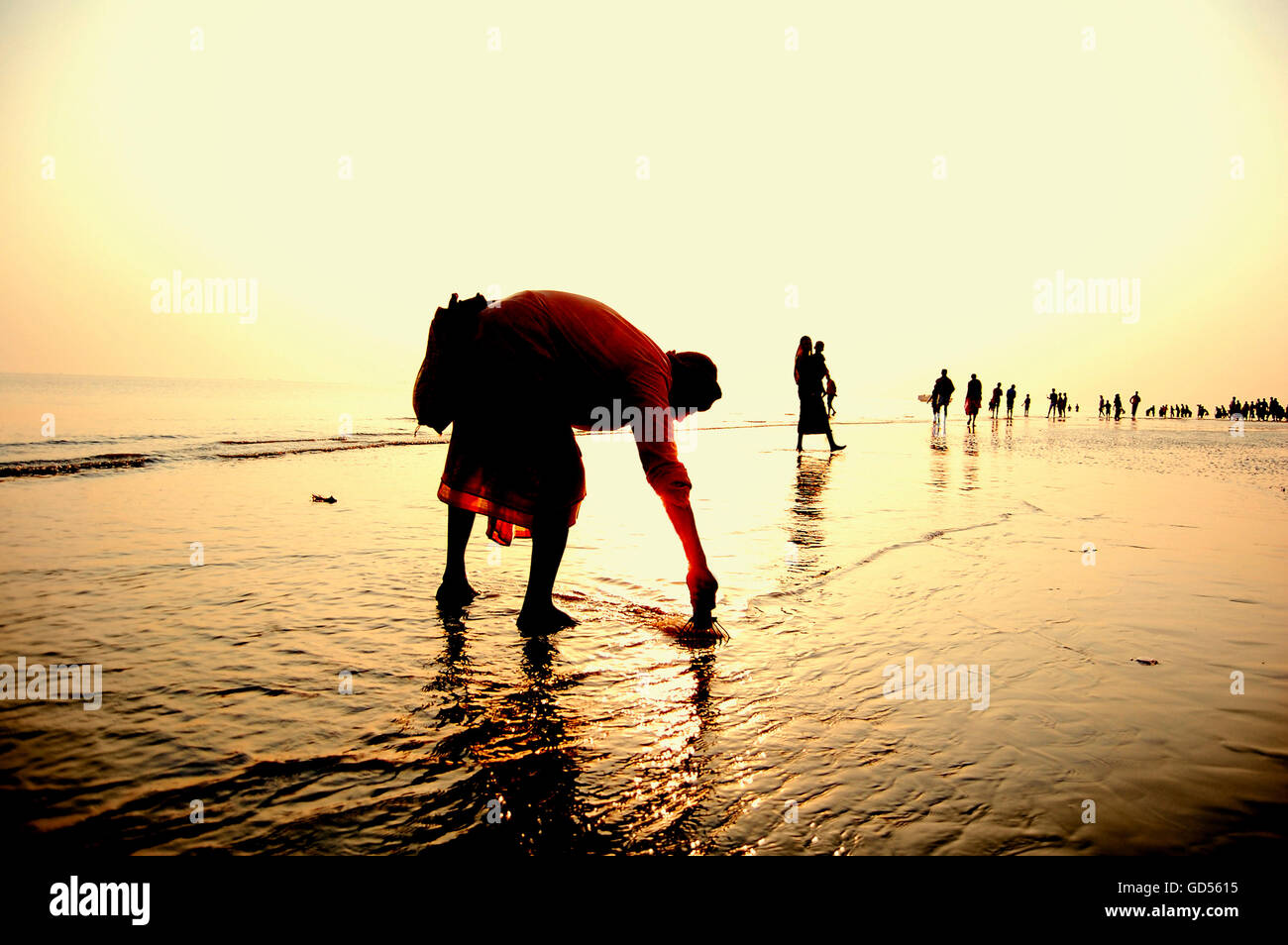 Man picking up sea shells Stock Photo - Alamy