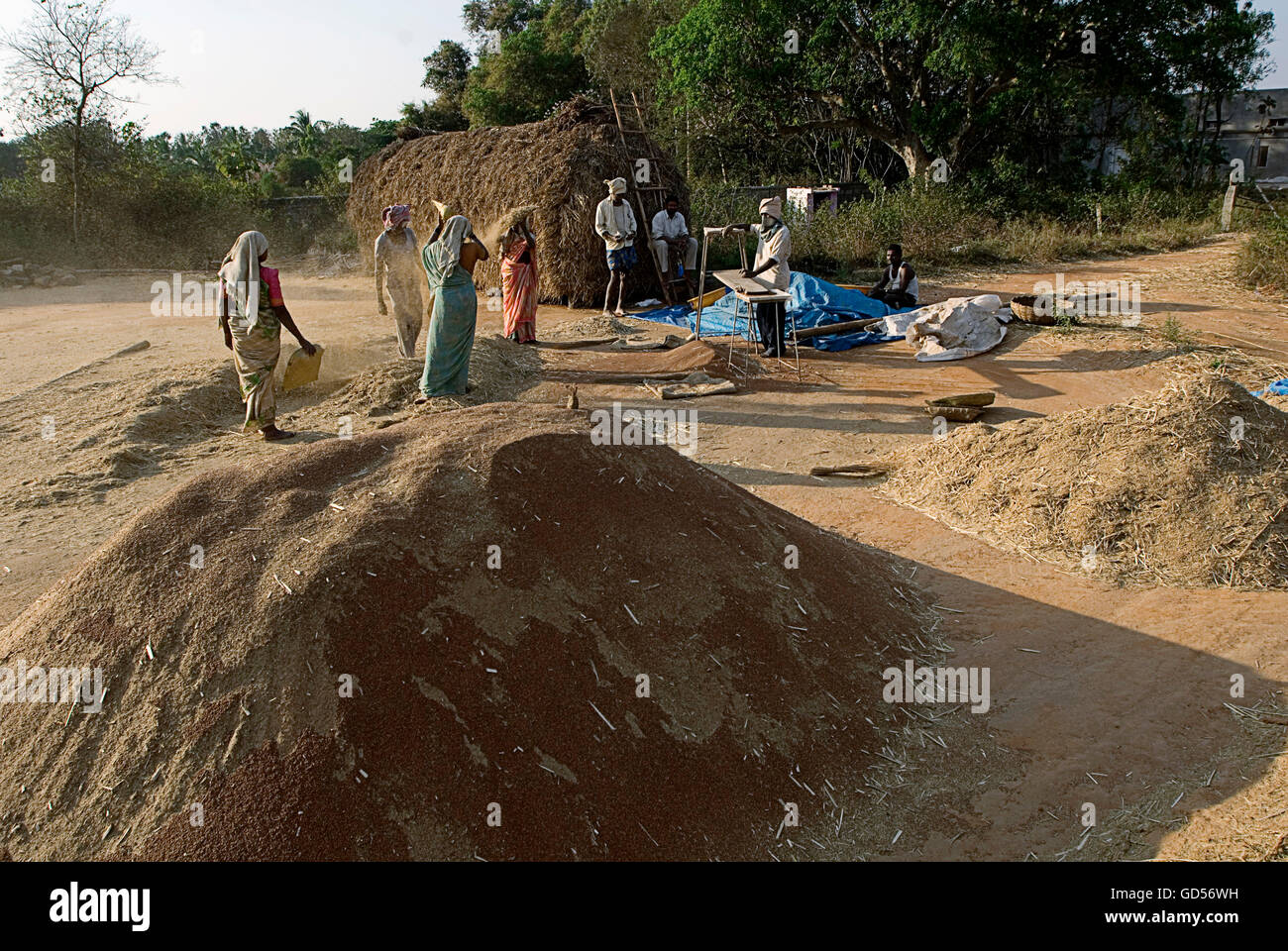 Raji hi-res stock photography and images - Alamy