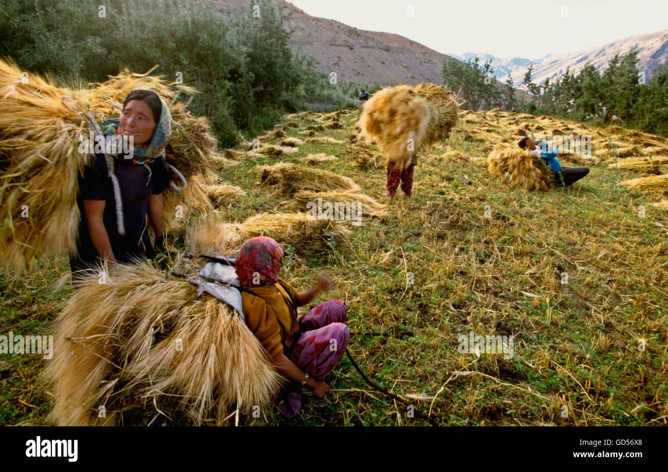 Women working in farm Stock Photo - Alamy