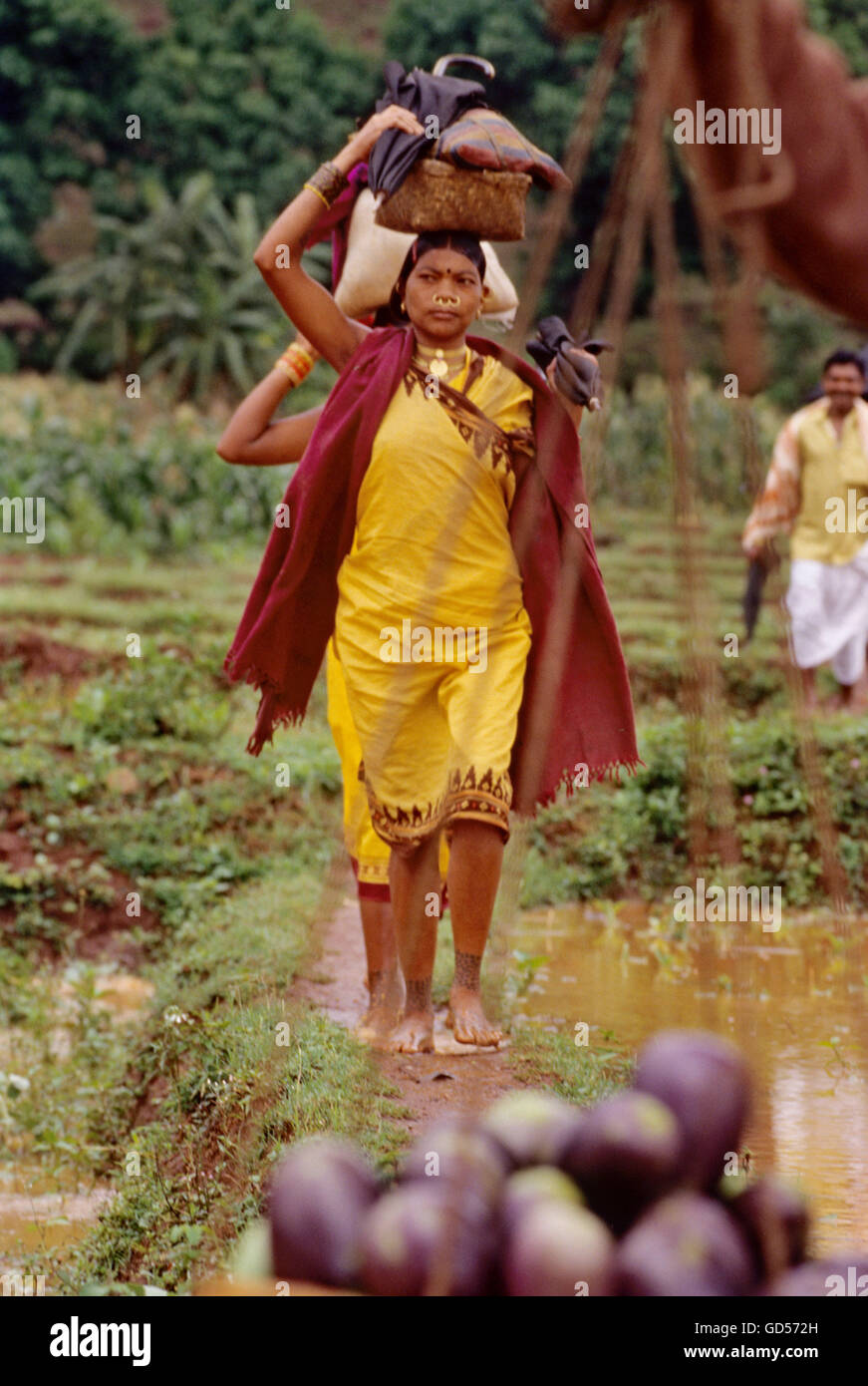 Tribal woman koraput district orissa hi-res stock photography and ...