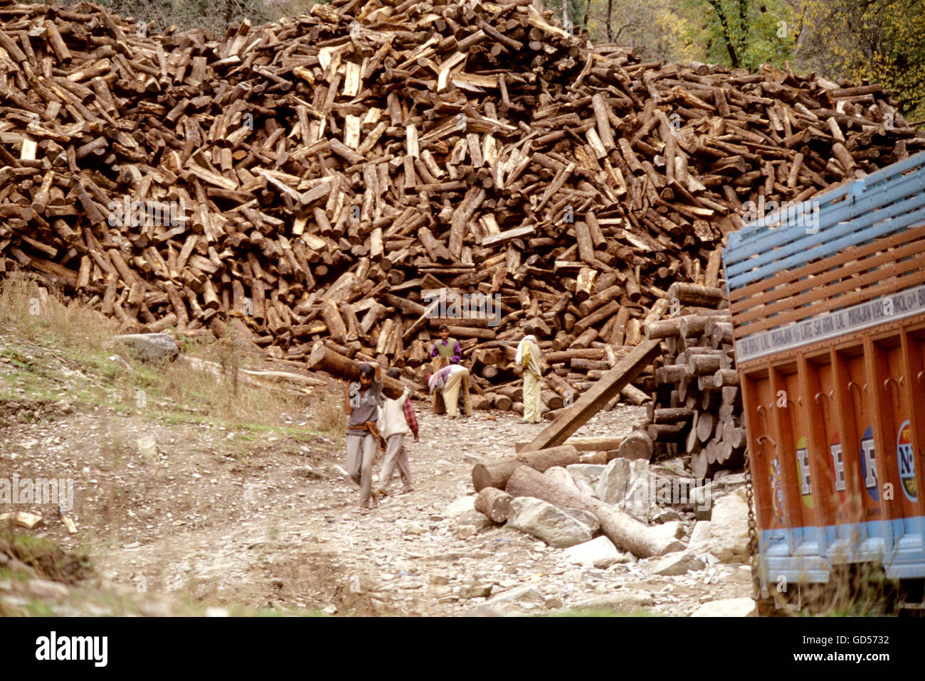 Tree felling hi-res stock photography and images - Alamy