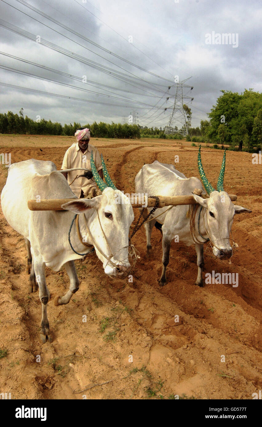 Farmer working in field Stock Photo - Alamy