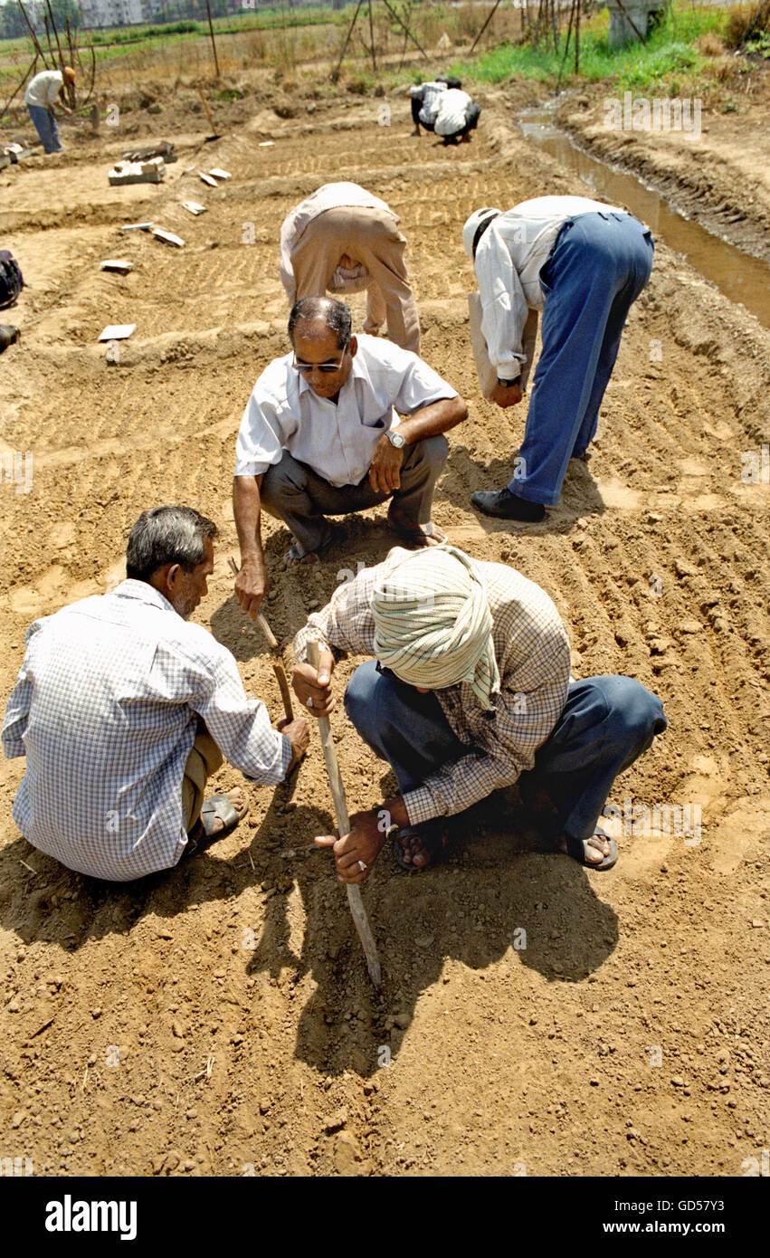Indian agricultural research institute hi-res stock photography and ...