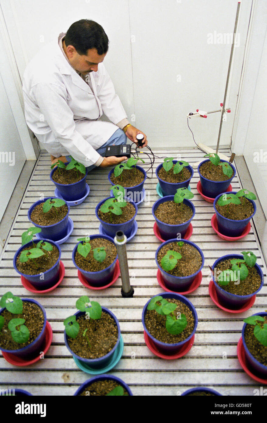 Agricultural research india hi-res stock photography and images - Alamy