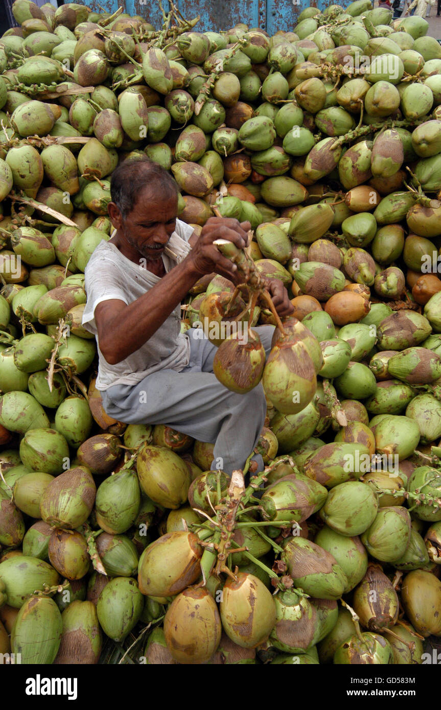 Load Of Coconuts High Resolution Stock Photography and Images - Alamy