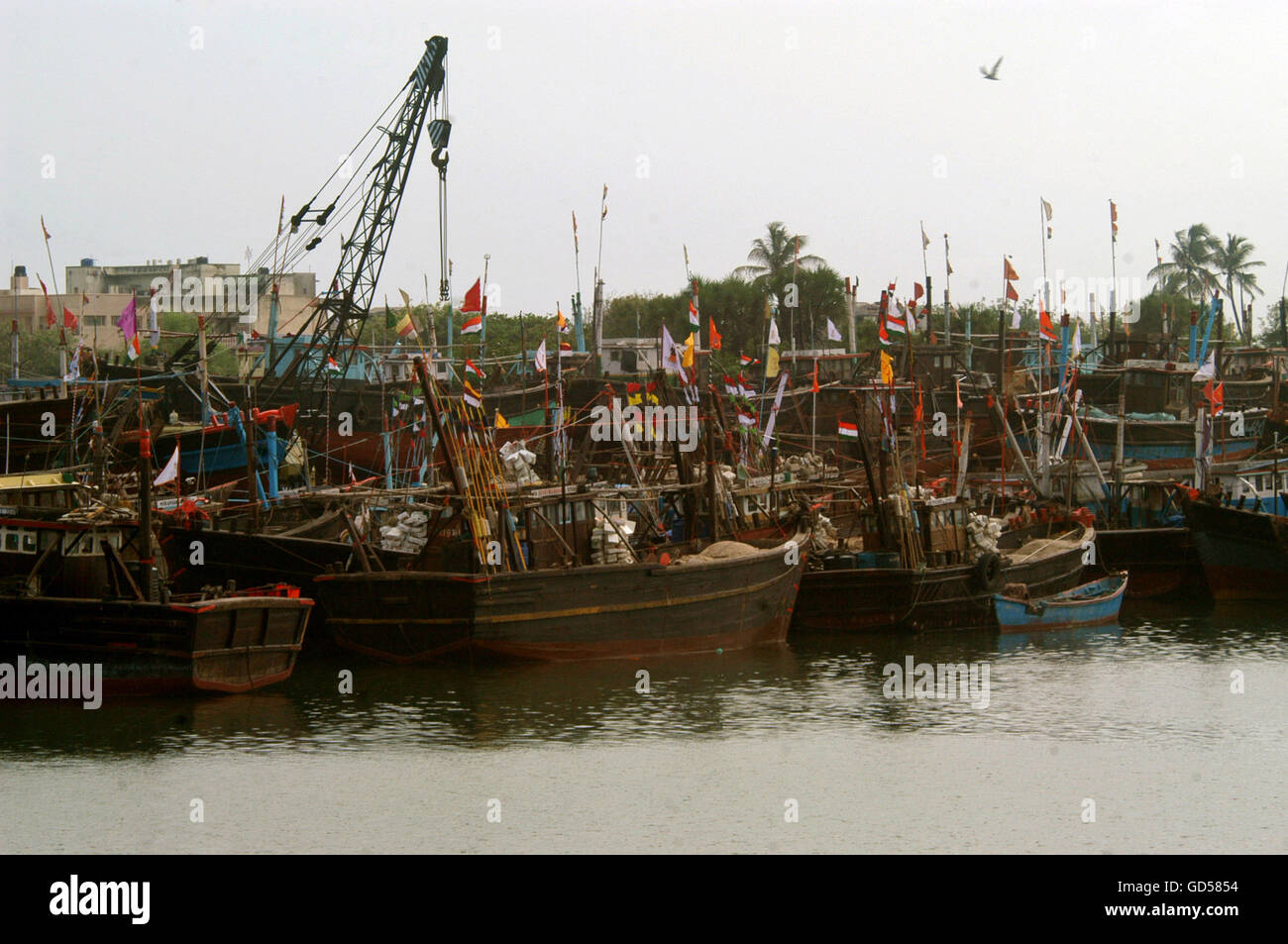 Veraval coastal area hi-res stock photography and images - Alamy