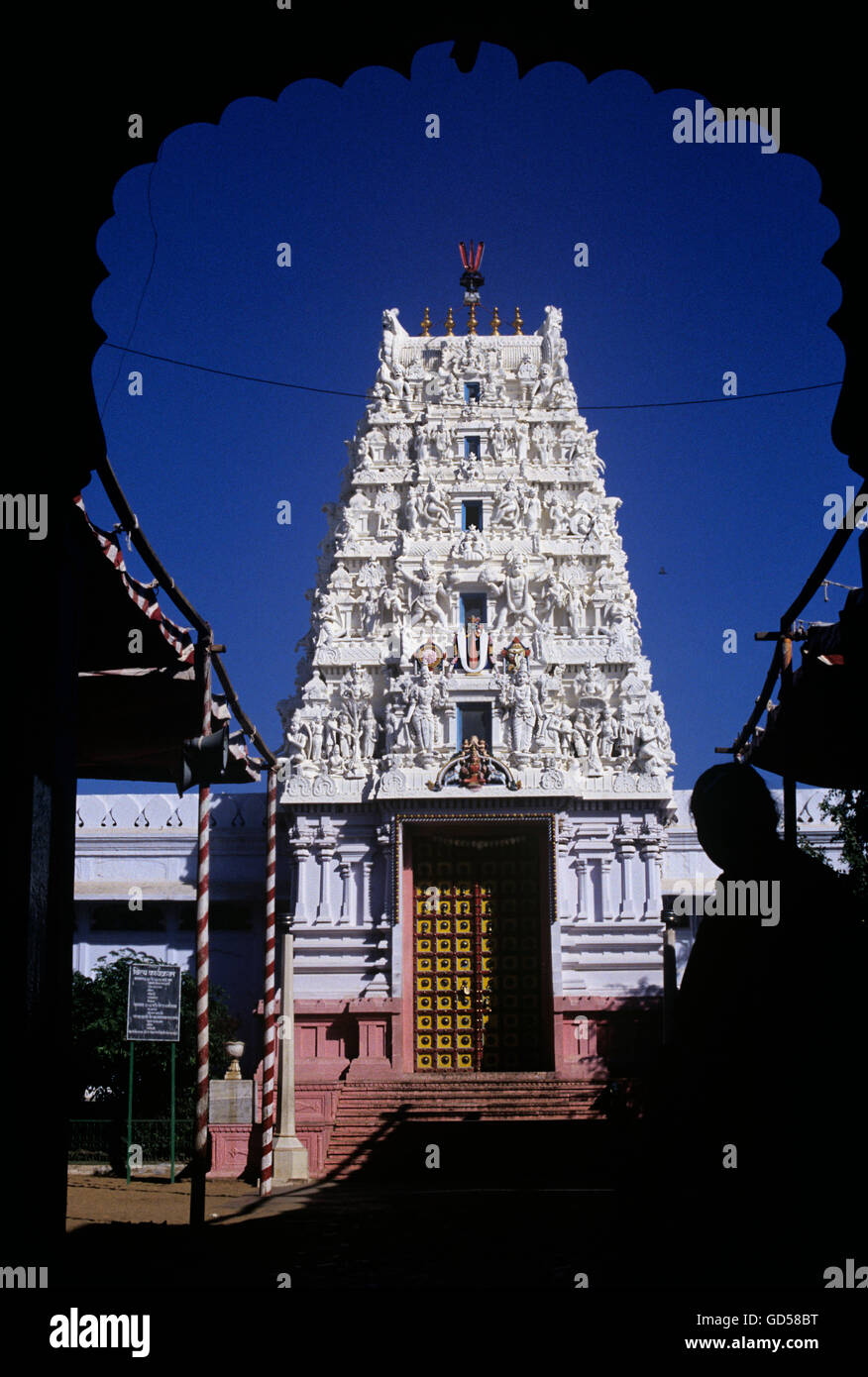 Warrah hi-res stock photography and images - Alamy