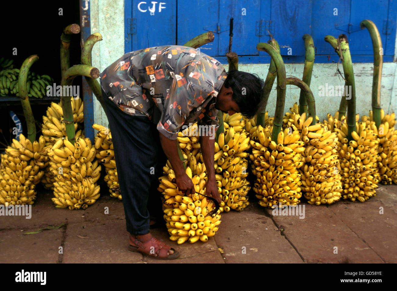 Man counting bananas Stock Photo - Alamy