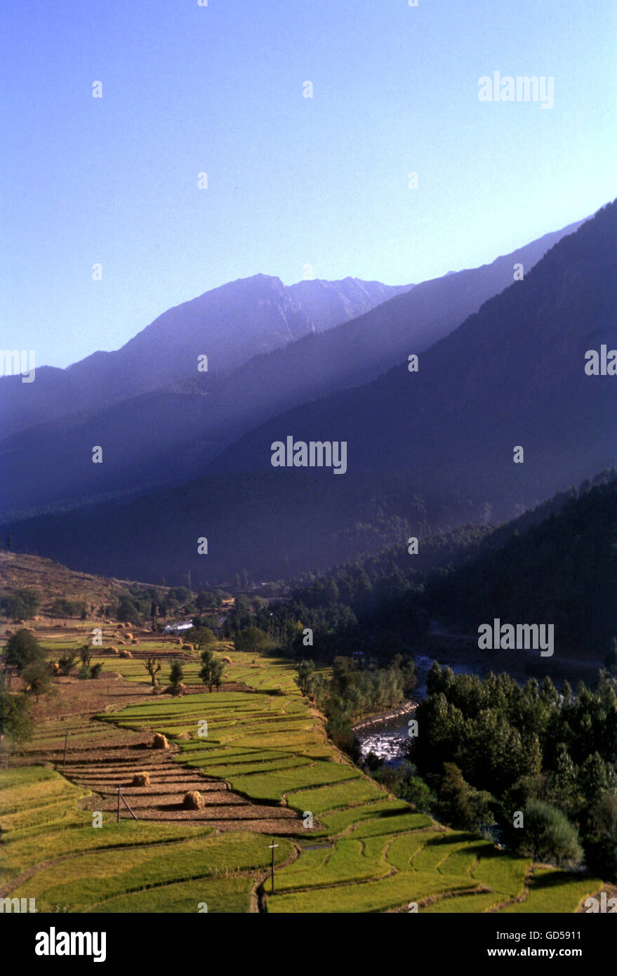 Lidder river pahalgam kashmir india hi-res stock photography and images ...