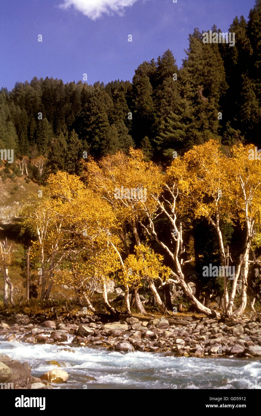 Pahalgam hi-res stock photography and images - Alamy