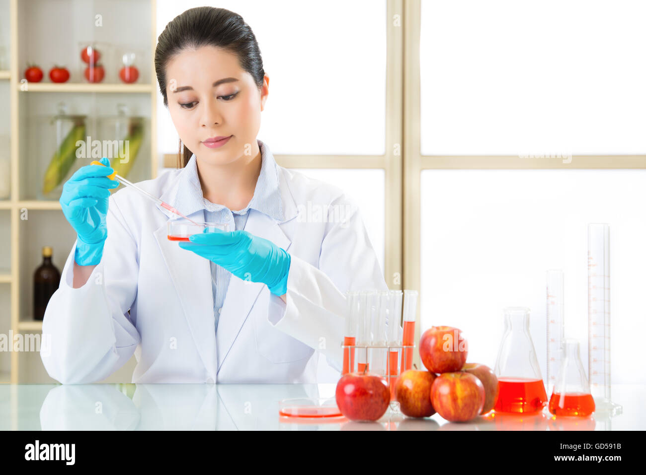 Asian female scientist examining for genetic modification food in ...