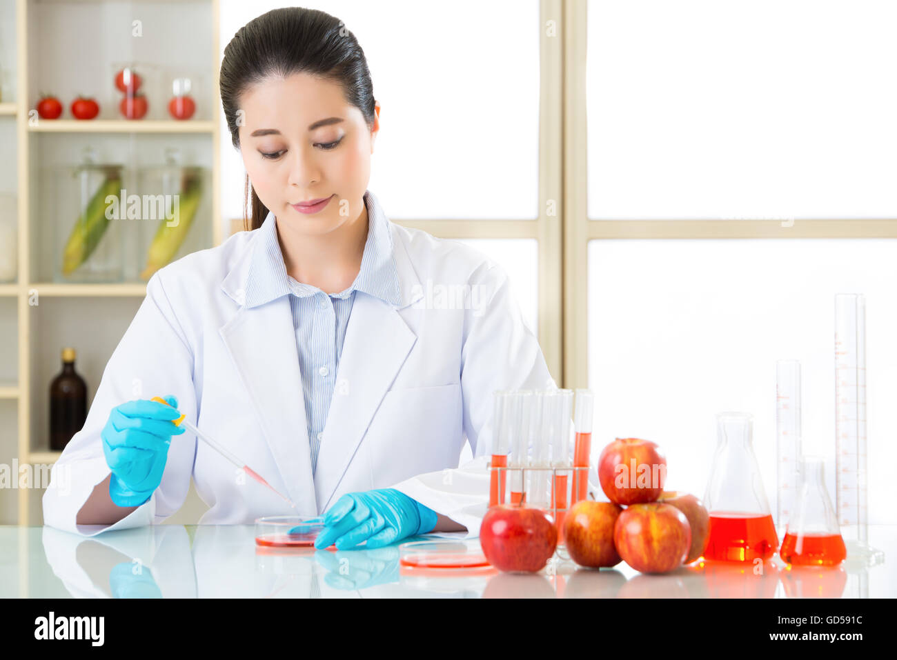 Asian female scientist research for genetic modification solution in ...