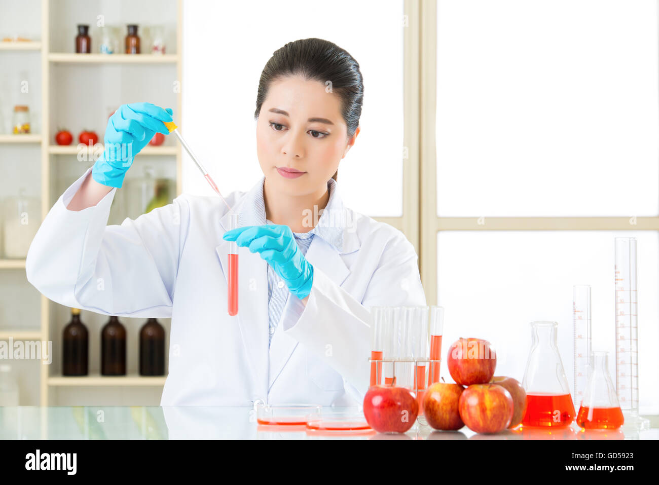 scientist use dropper to test genetic modification food in laboratory ...