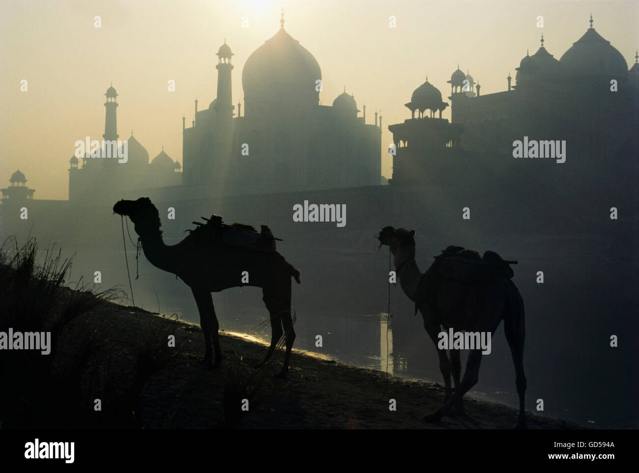Taj mahal palace historic hi-res stock photography and images - Alamy