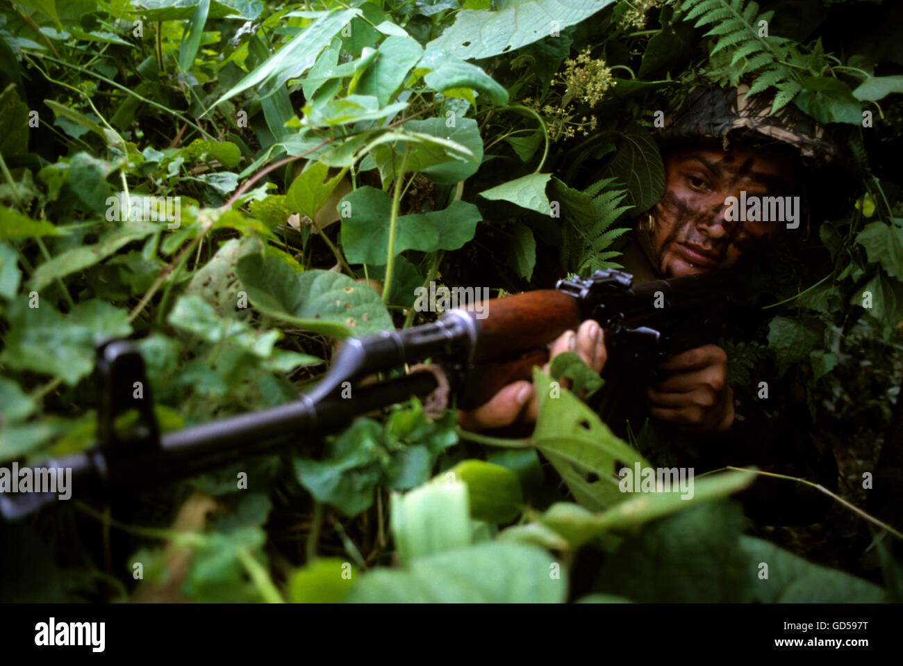 Jawan man hi-res stock photography and images - Alamy