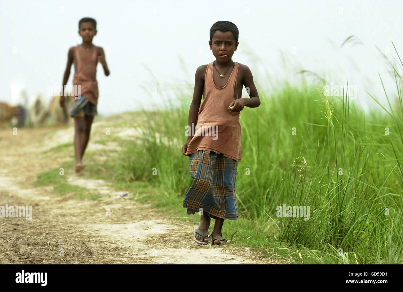 Children in the field Stock Photo - Alamy