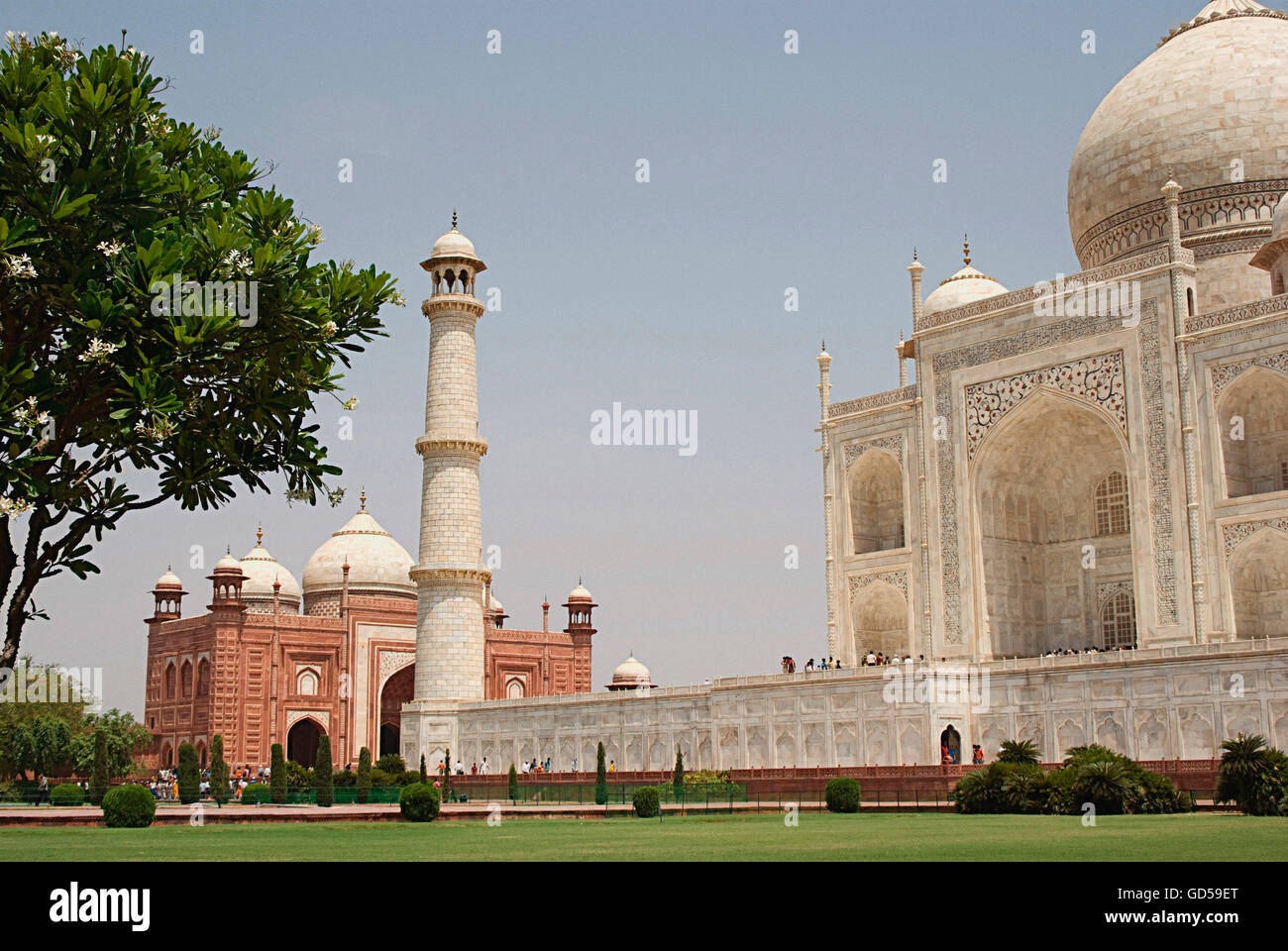 Taj Mahal and adjacent mosque Stock Photo - Alamy