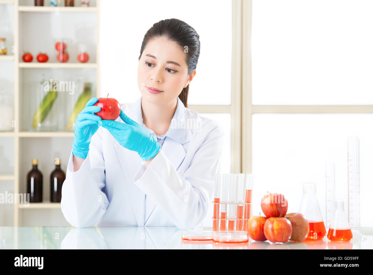 Asian female scientist looking apple for genetic modification research ...