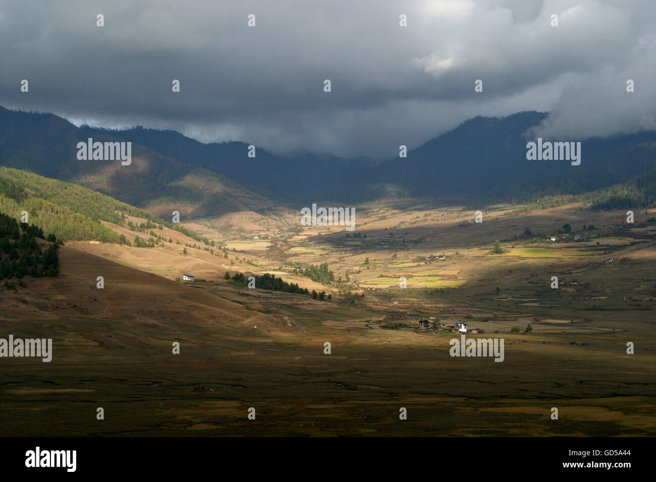 Phobjika valley hi-res stock photography and images - Alamy