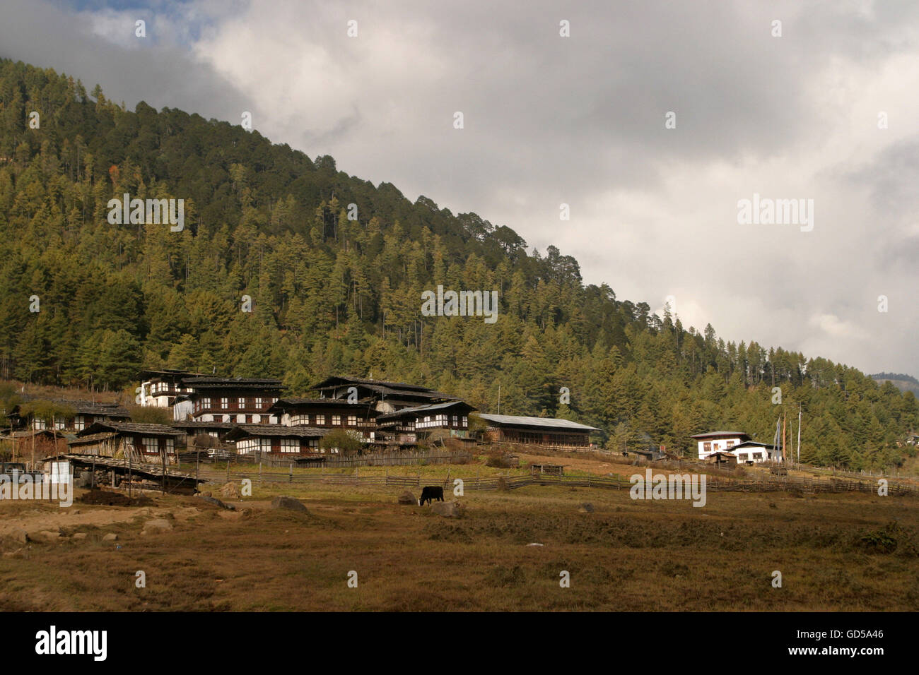 Phobjika valley hi-res stock photography and images - Alamy
