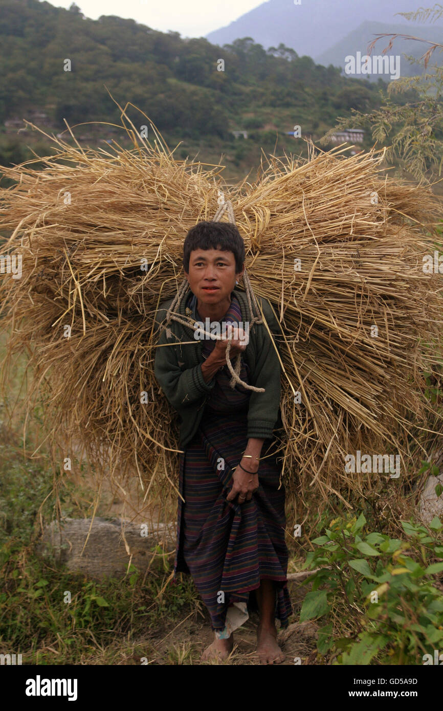 Mongoloid hi-res stock photography and images - Alamy