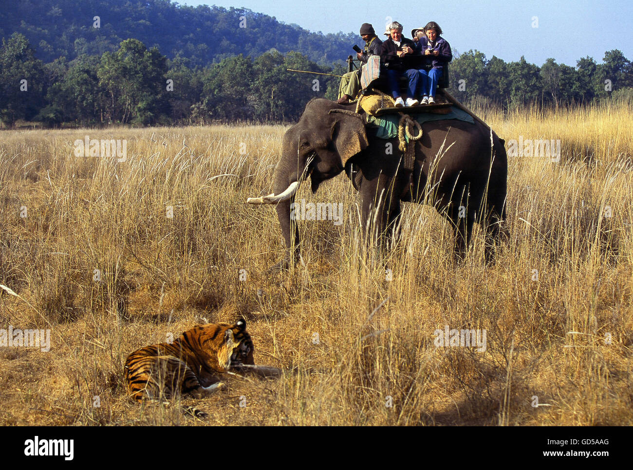 Jim corbett hi-res stock photography and images - Alamy