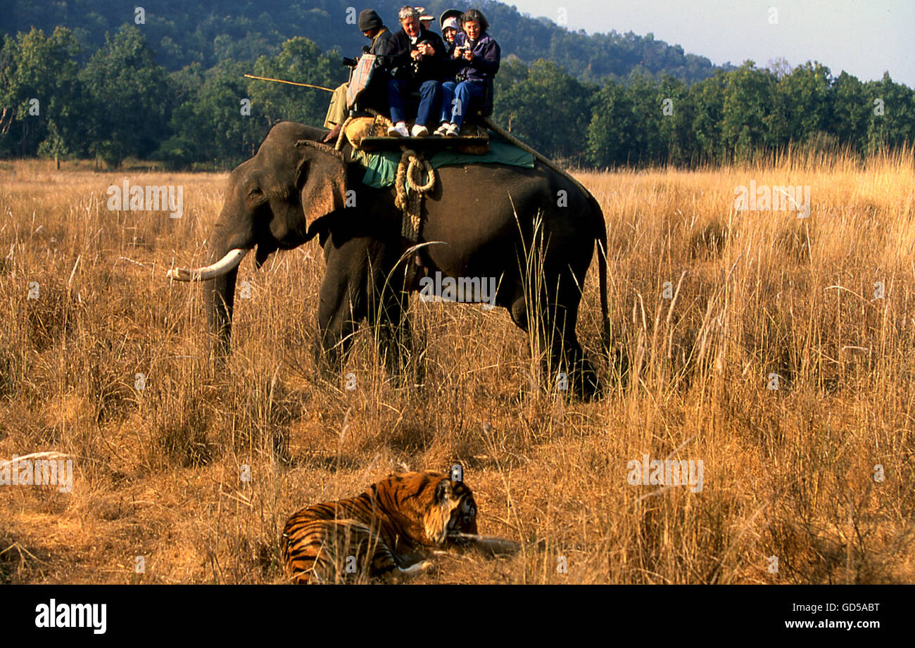 Jim corbett hi-res stock photography and images - Alamy
