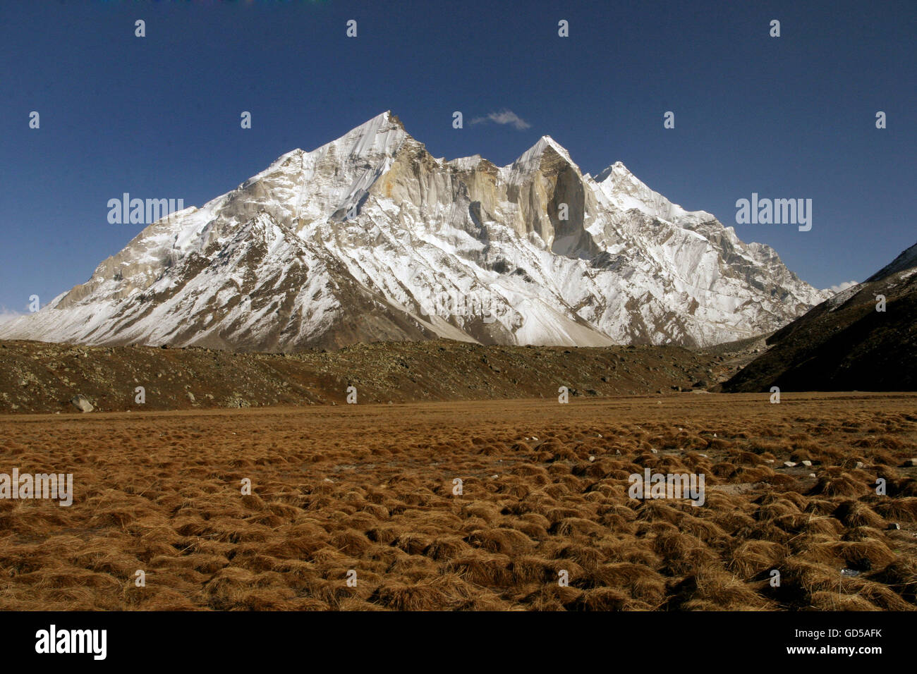 Tapovan hi-res stock photography and images - Alamy