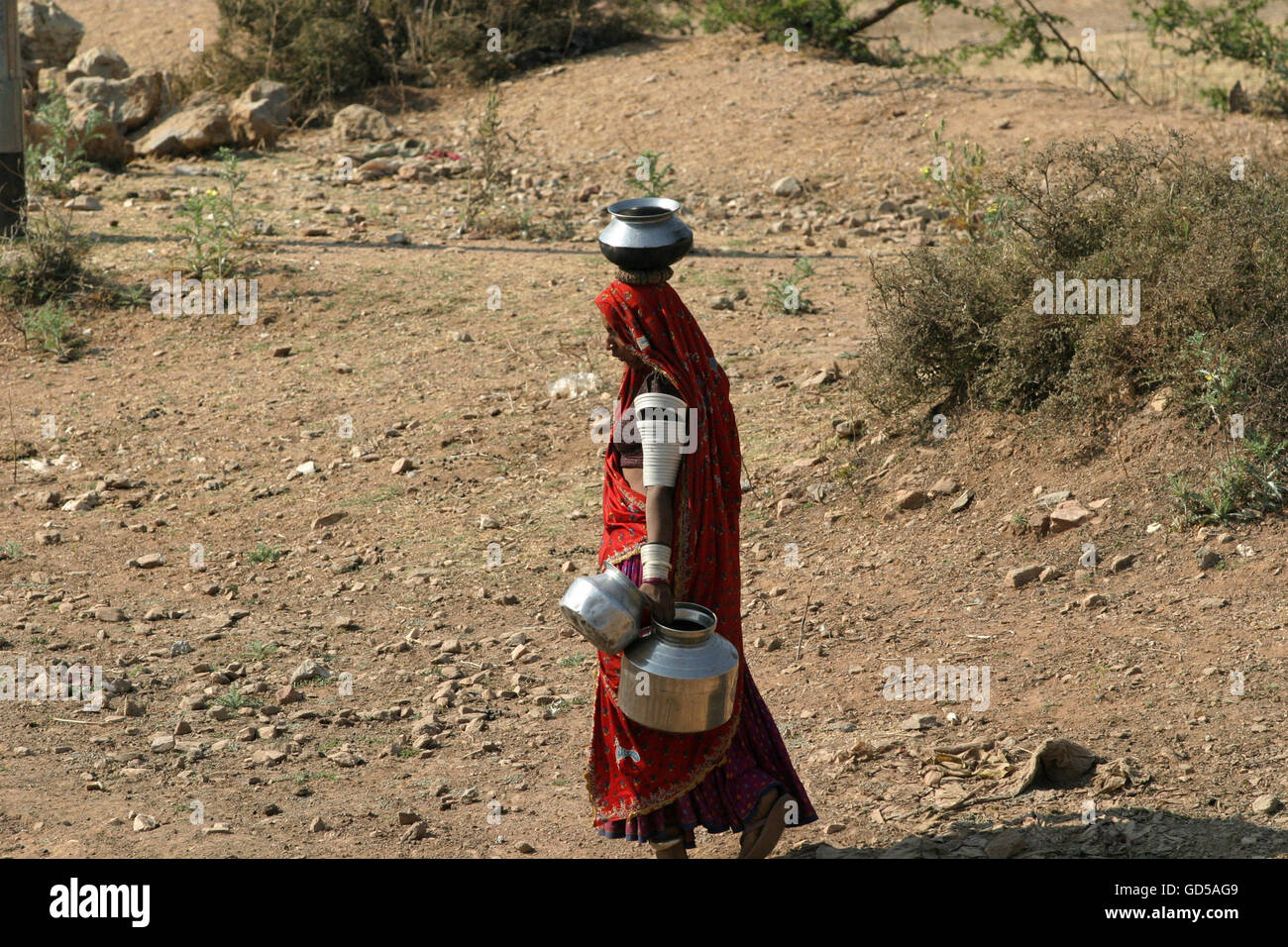 Fetch Water Stock Photos & Fetch Water Stock Images - Alamy