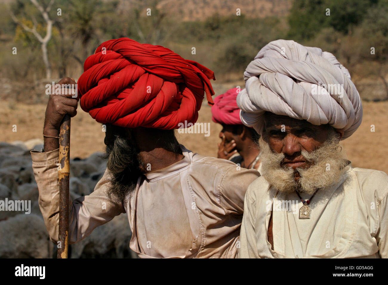 Traditional turban and beard hi-res stock photography and images - Alamy
