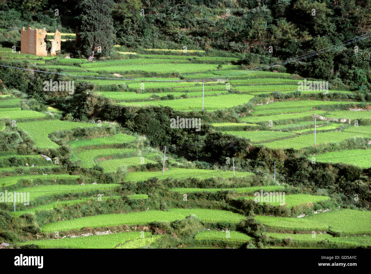 Hill side view Stock Photo - Alamy