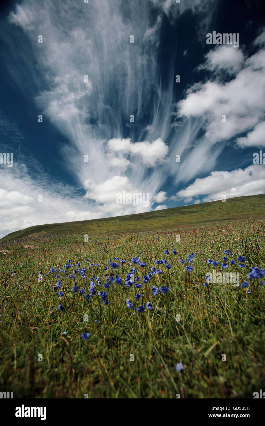 Countryside in Tibet Stock Photo - Alamy