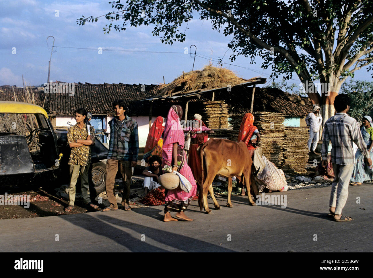 Bhil tribal market Stock Photo - Alamy