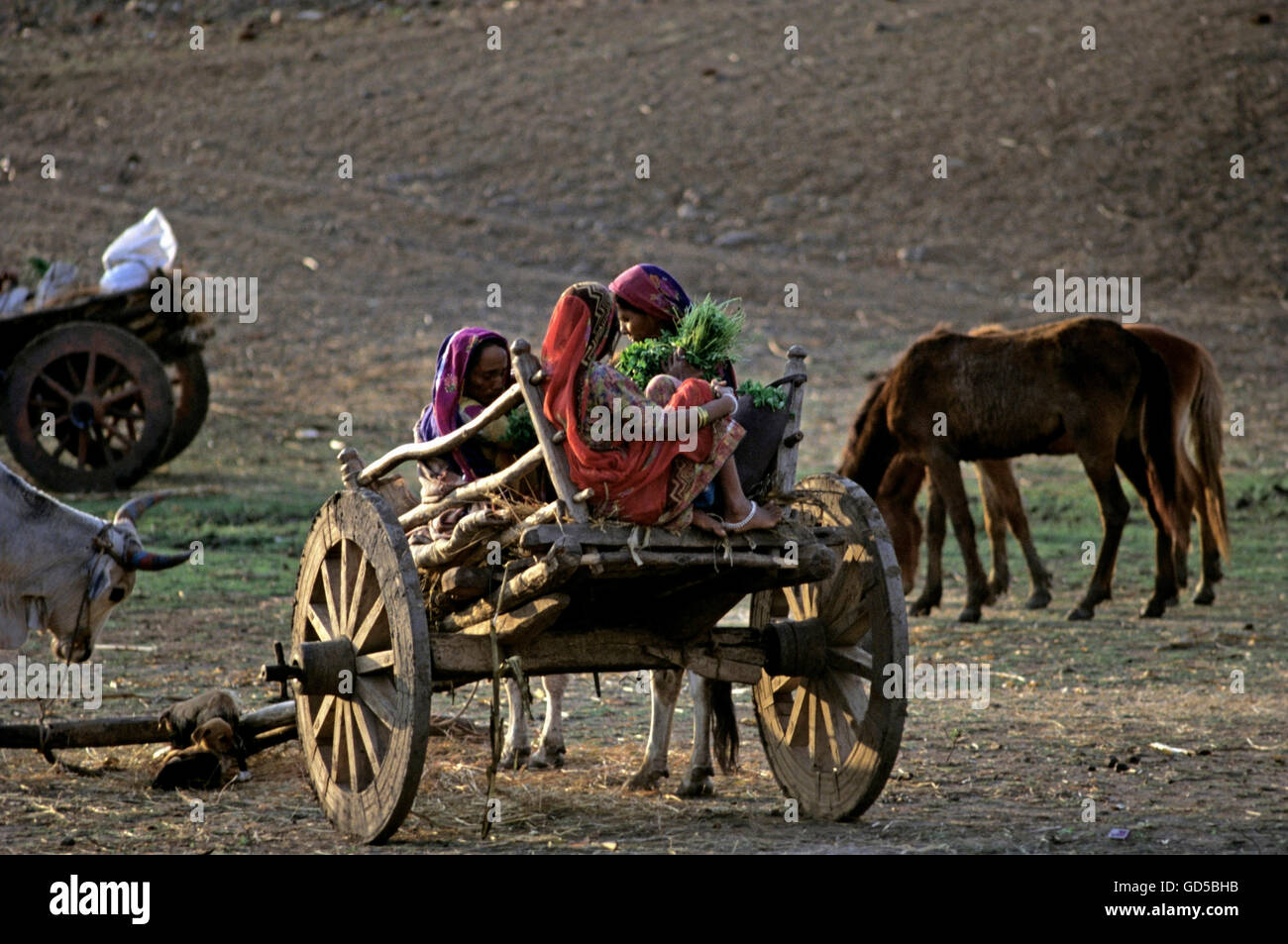 Bhil tribal market Stock Photo - Alamy