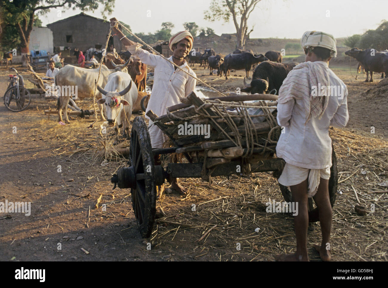 Bhil tribal market Stock Photo - Alamy